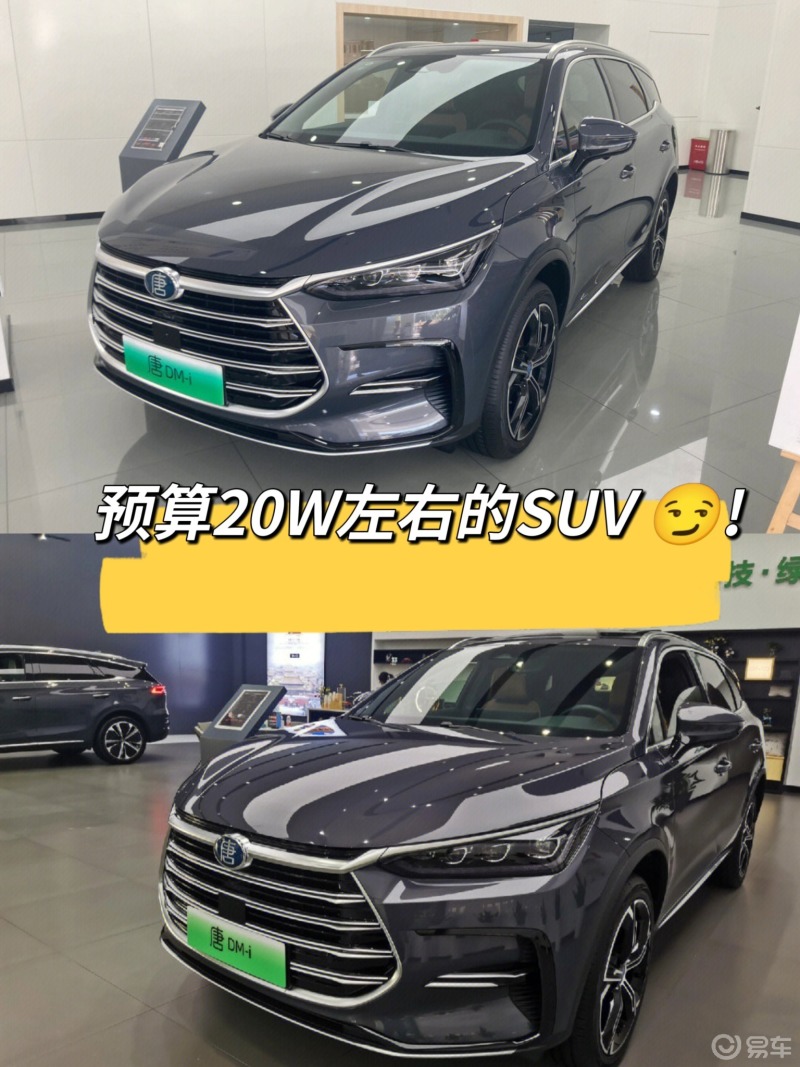 预算20W左右的SUV 😏!☠_唐新能源/唐社区_易车社区