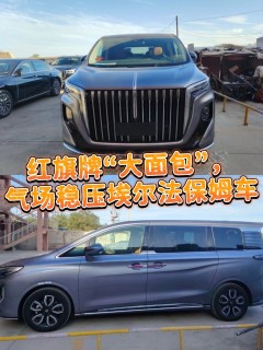 【红旗HQ9新能源】红旗HM9 插电混动报价,红旗HM9 插电混动图片_易车