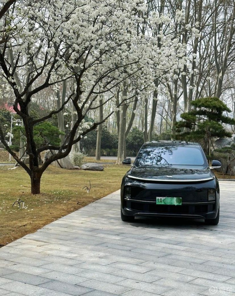 理想L8大尺寸超豪华_理想L8社区_易车社区