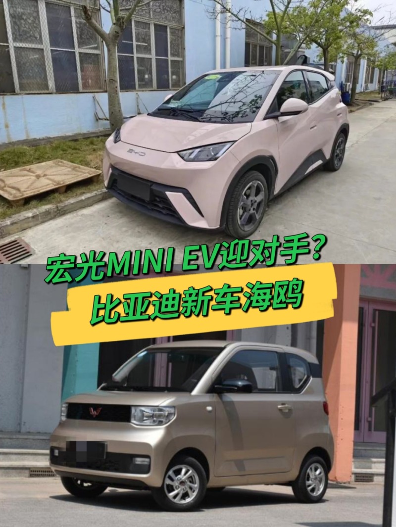 宏光MINI EV迎对手？比亚迪新车海鸥_宏光MINIEV社区_易车社区